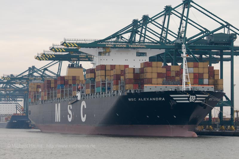 MSC Alexandra