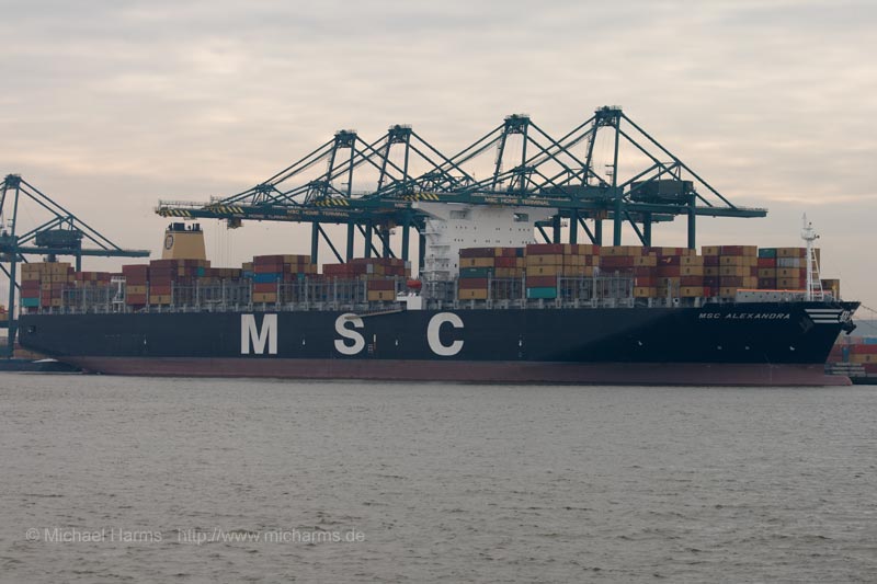 MSC Alexandra