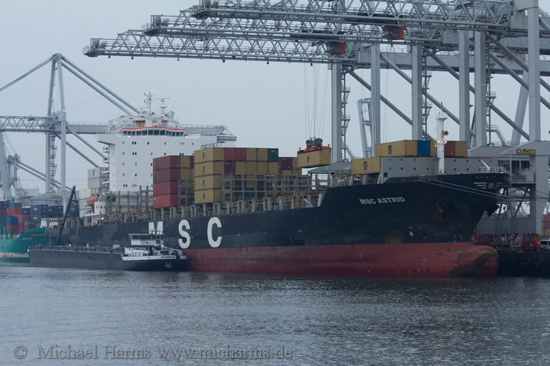 MSC Astrid