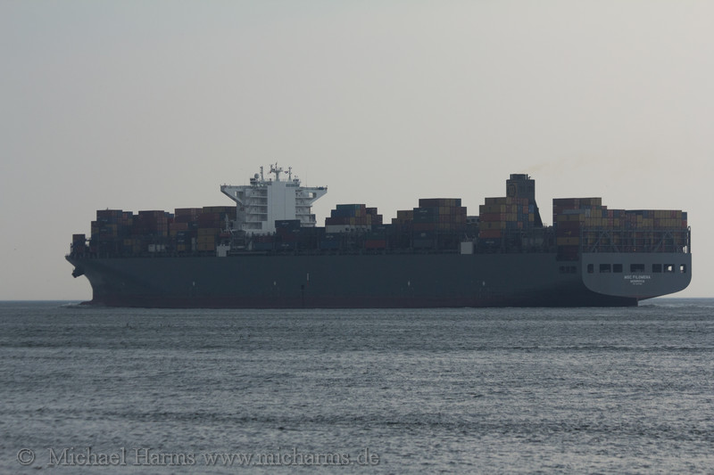 MSC Filomena