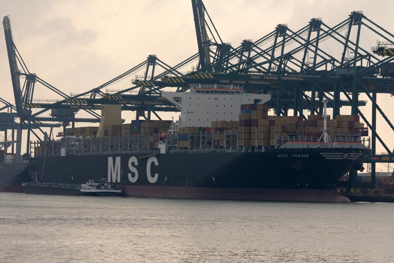 MSC Irene