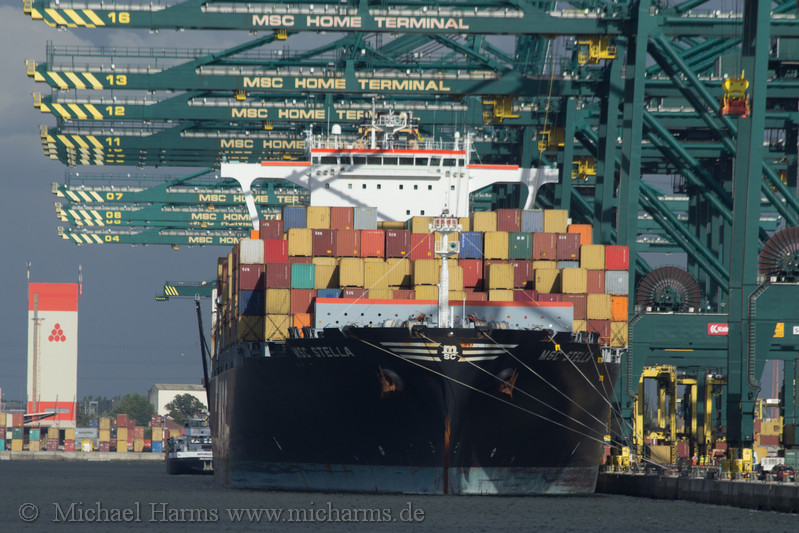 MSC Stella