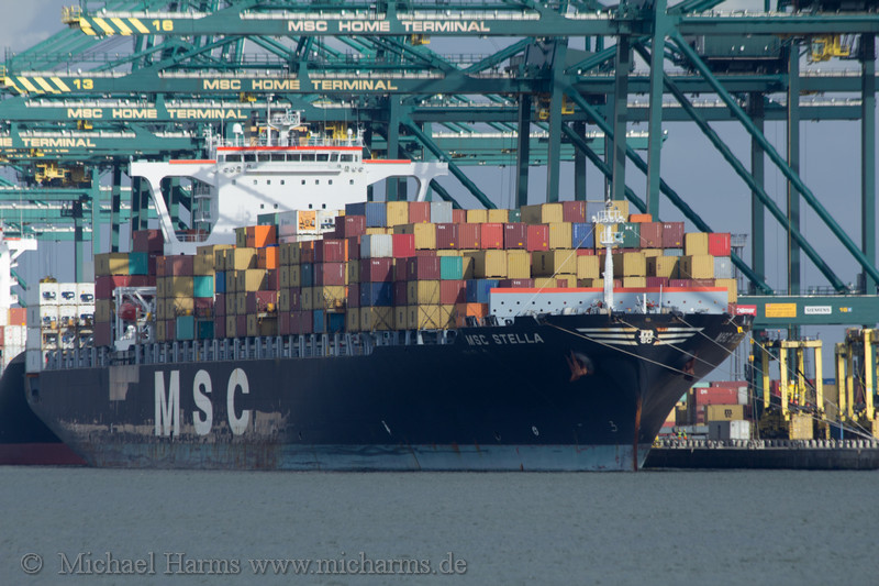 MSC Stella