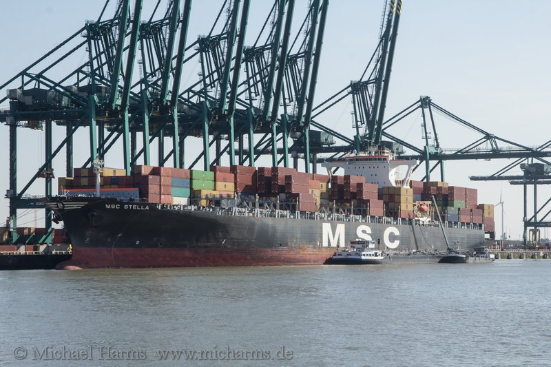 MSC Stella
