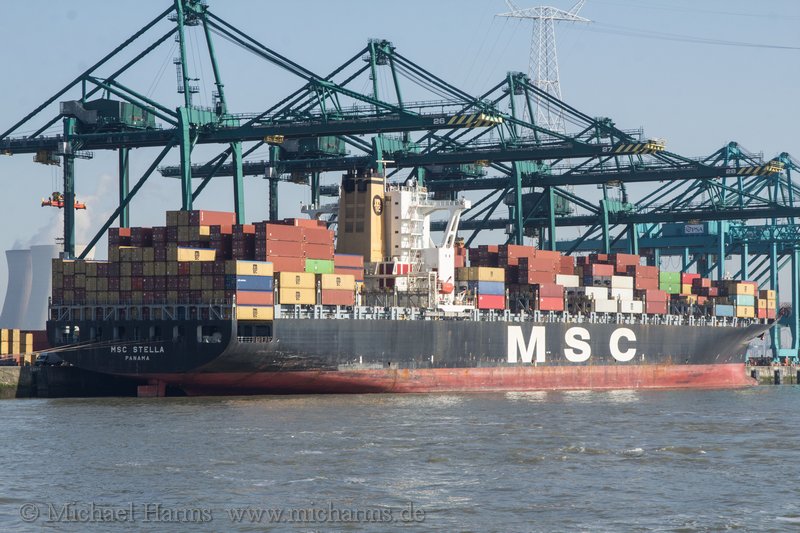 MSC Stella