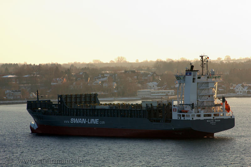 Baltic Swan
