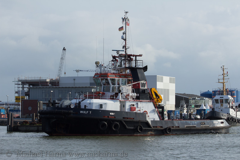 Wulf 7